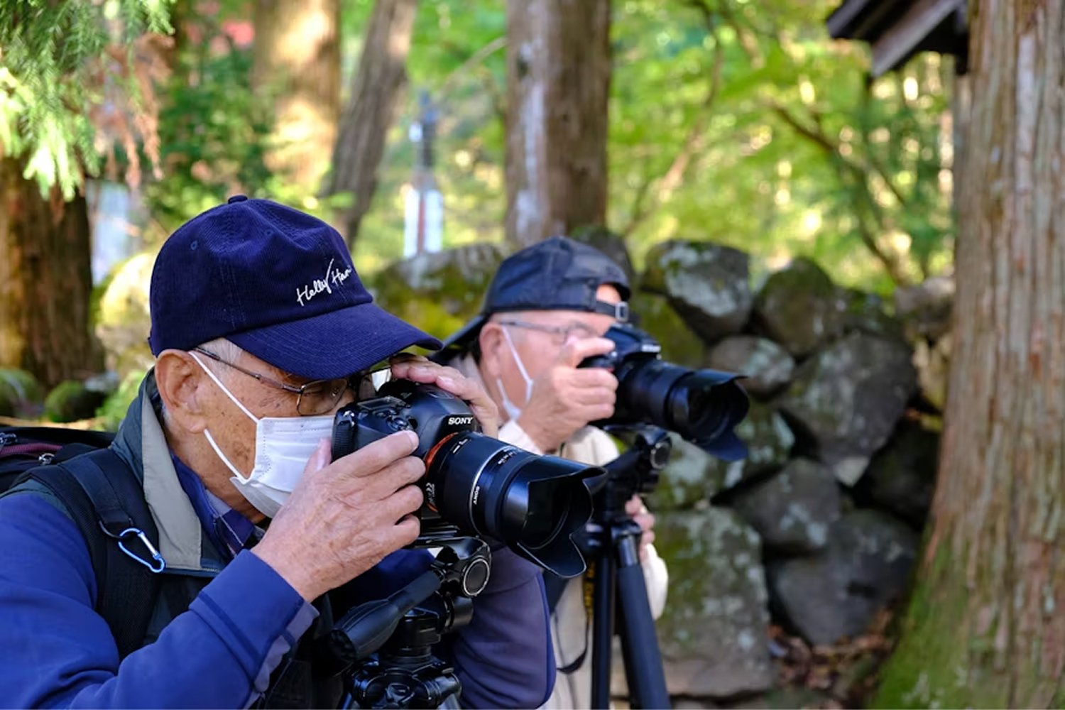 How to Participate in Local Bird Counts Today - Birdsmania