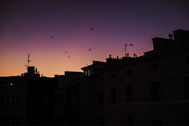 The Role of Light Pollution in Bird Migration - Birdsmania